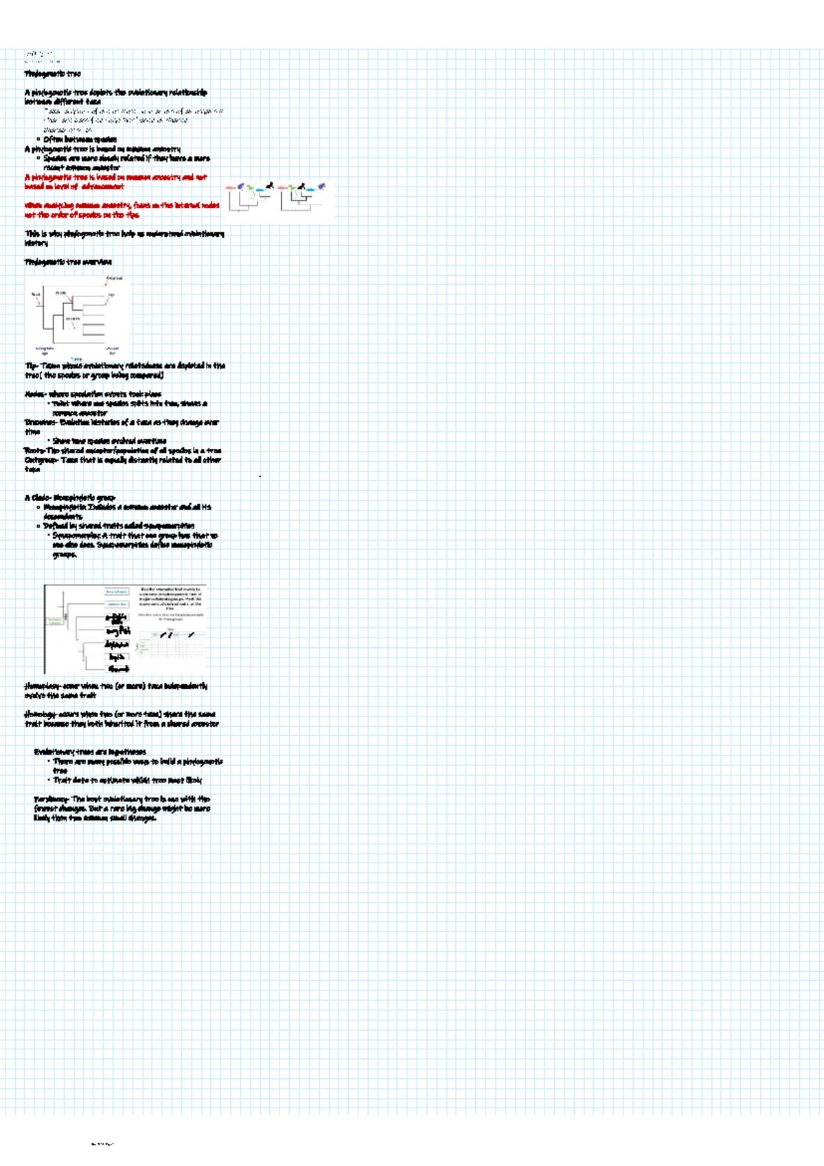 Bio 1070 Unit 3: Understanding Phylogenetic Trees and Evolution - Studocu