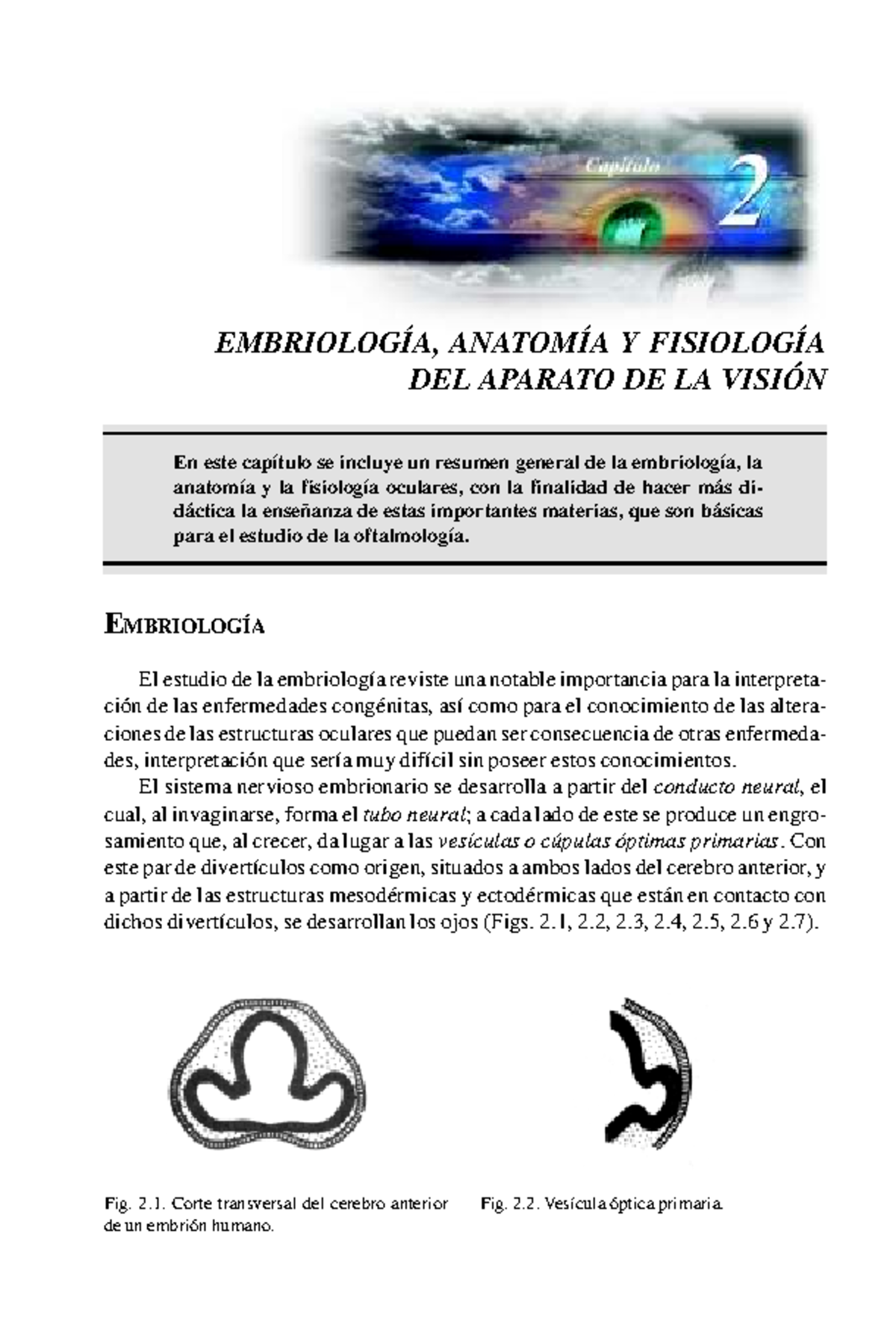 2. Capítulo 2: Anatomía y Fisiología del Ojo en Oftalmología - Studocu