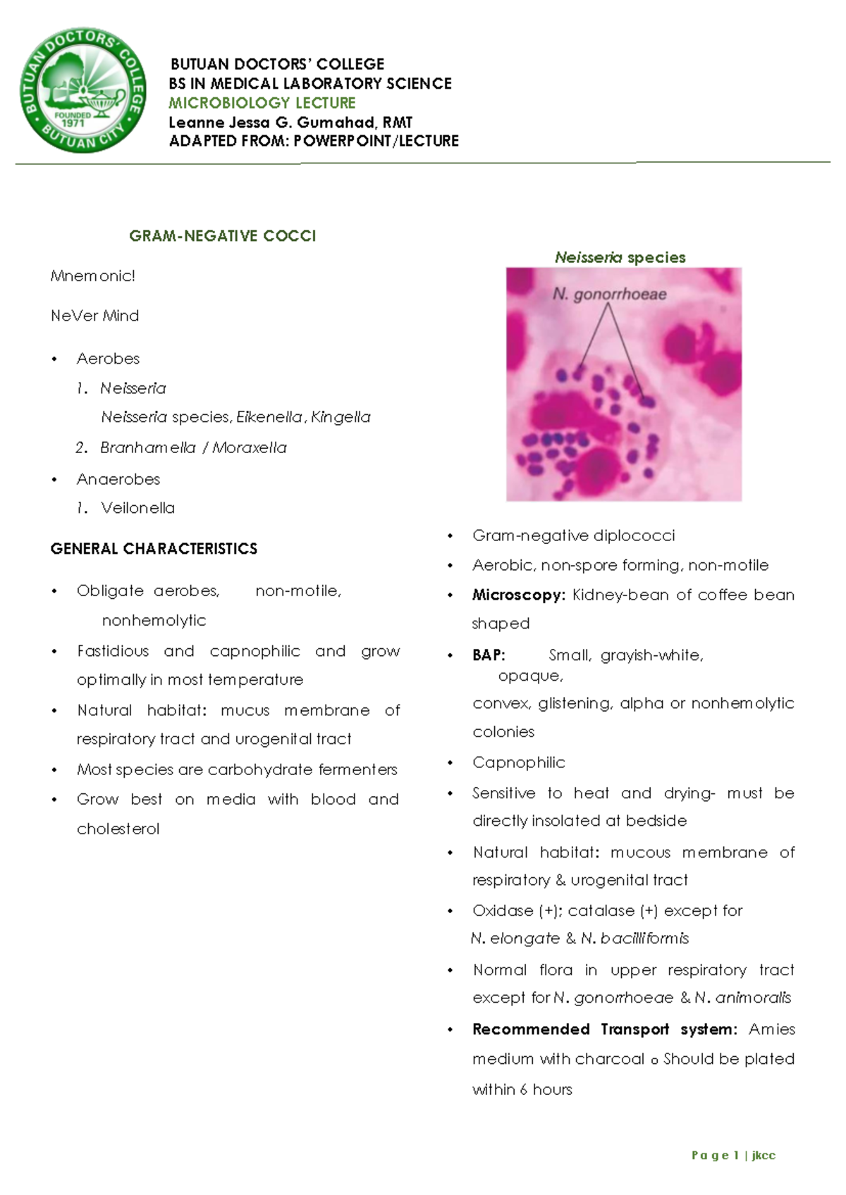 LEC 7 - GRAM- Negative Cocci - BS IN MEDICAL LABORATORY SCIENCE ...