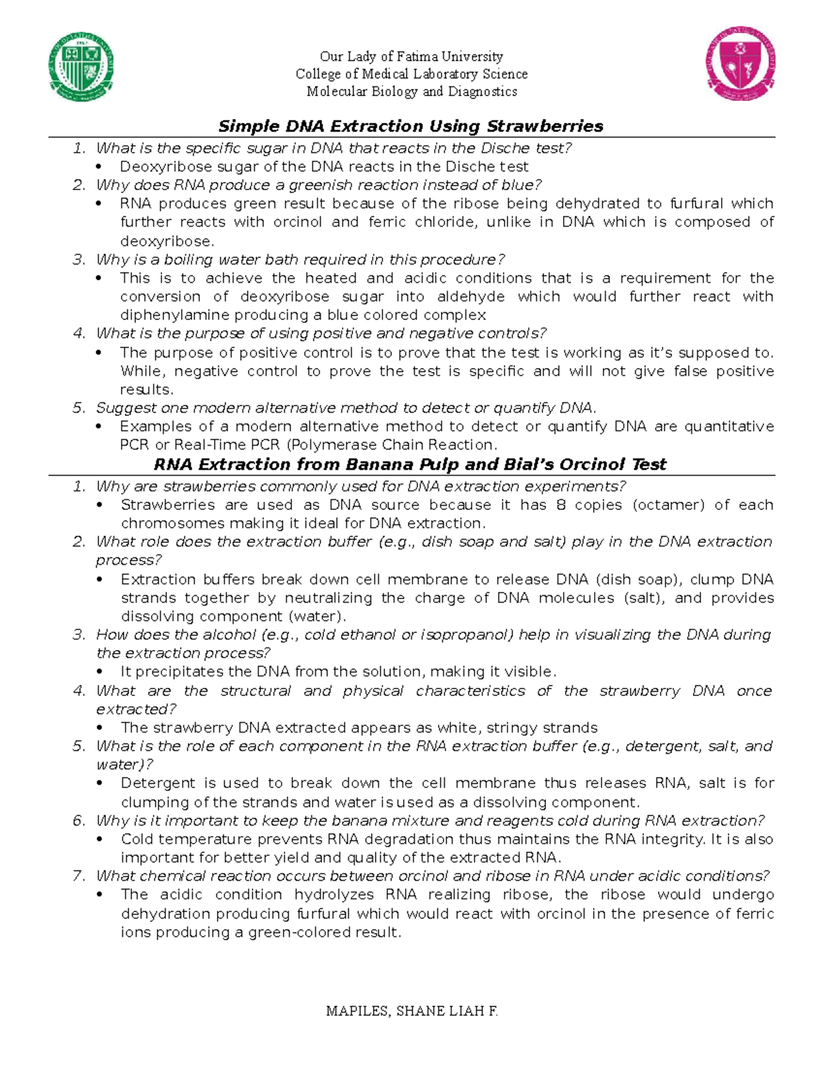Molecular Biology Lab: Simple DNA Extraction Using Strawberries - Studocu