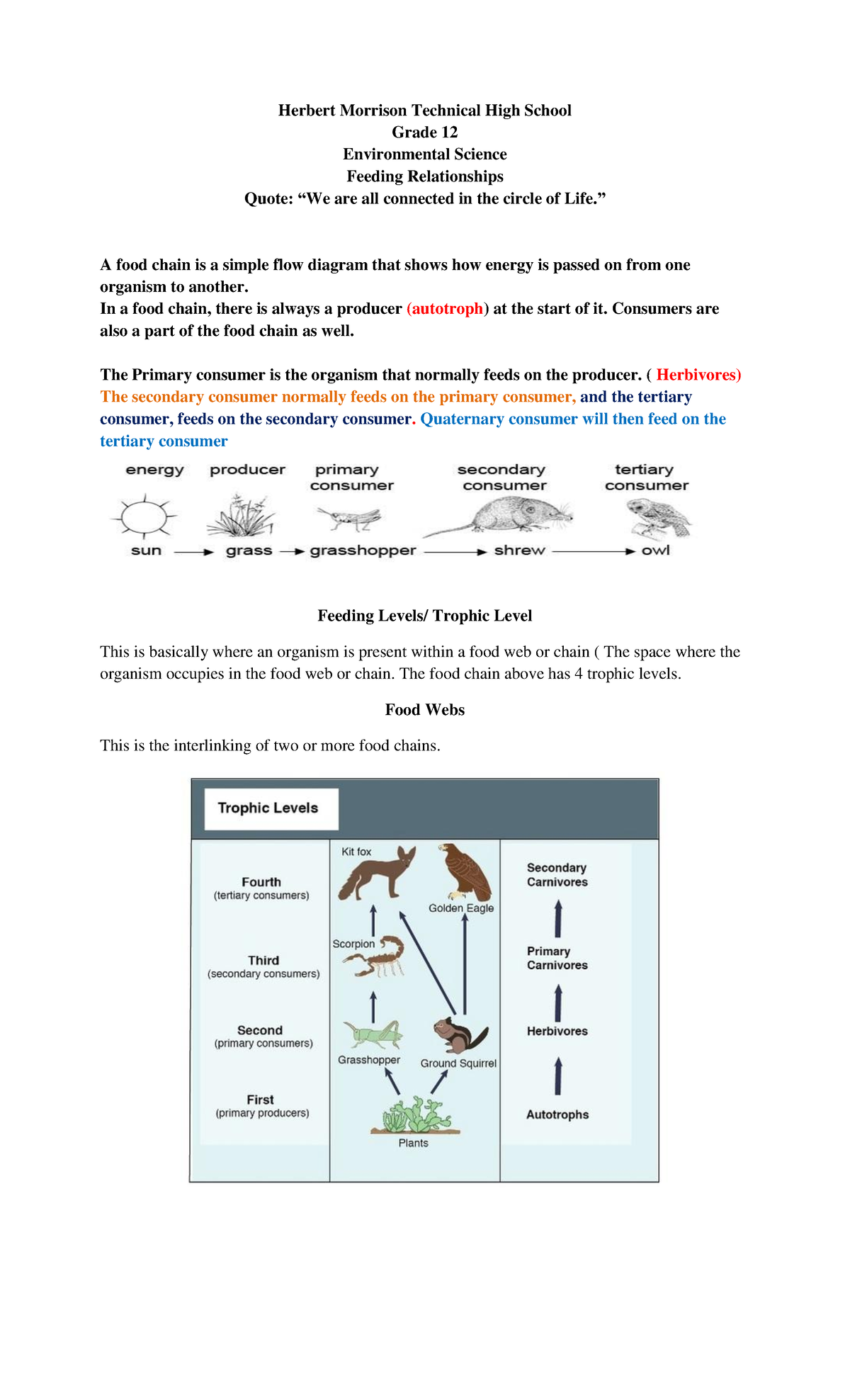 Grade 12 Environmental Science: Food Webs and Chains Overview - Studocu
