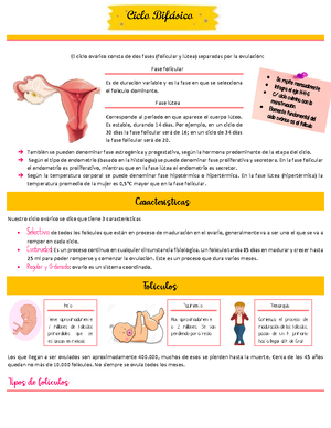 planilla pals 2023 - SVAP/PALS Signos vitales en niños Frecuencias ...