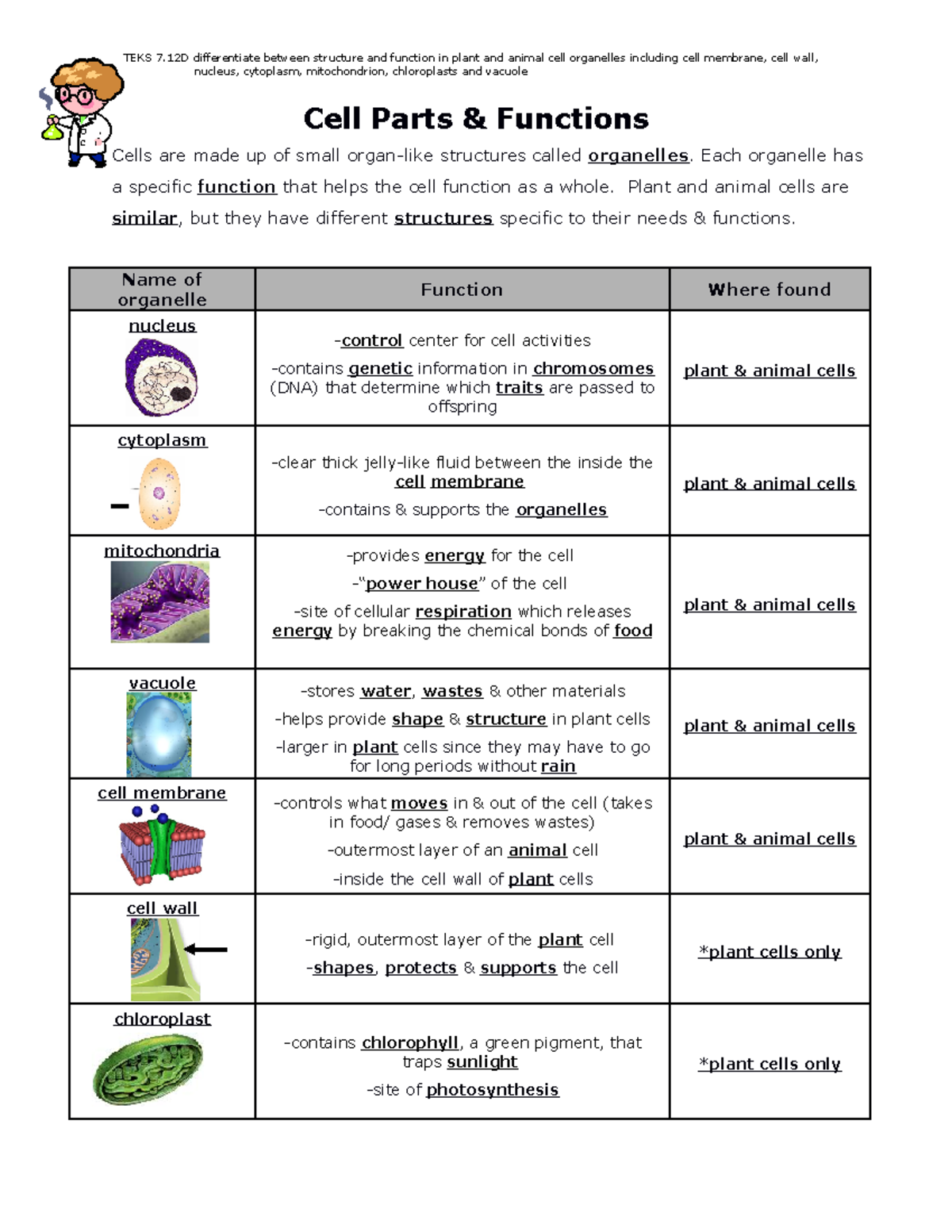 Cell parts and functions (2) - Cell Parts & Functions Cells are made up ...