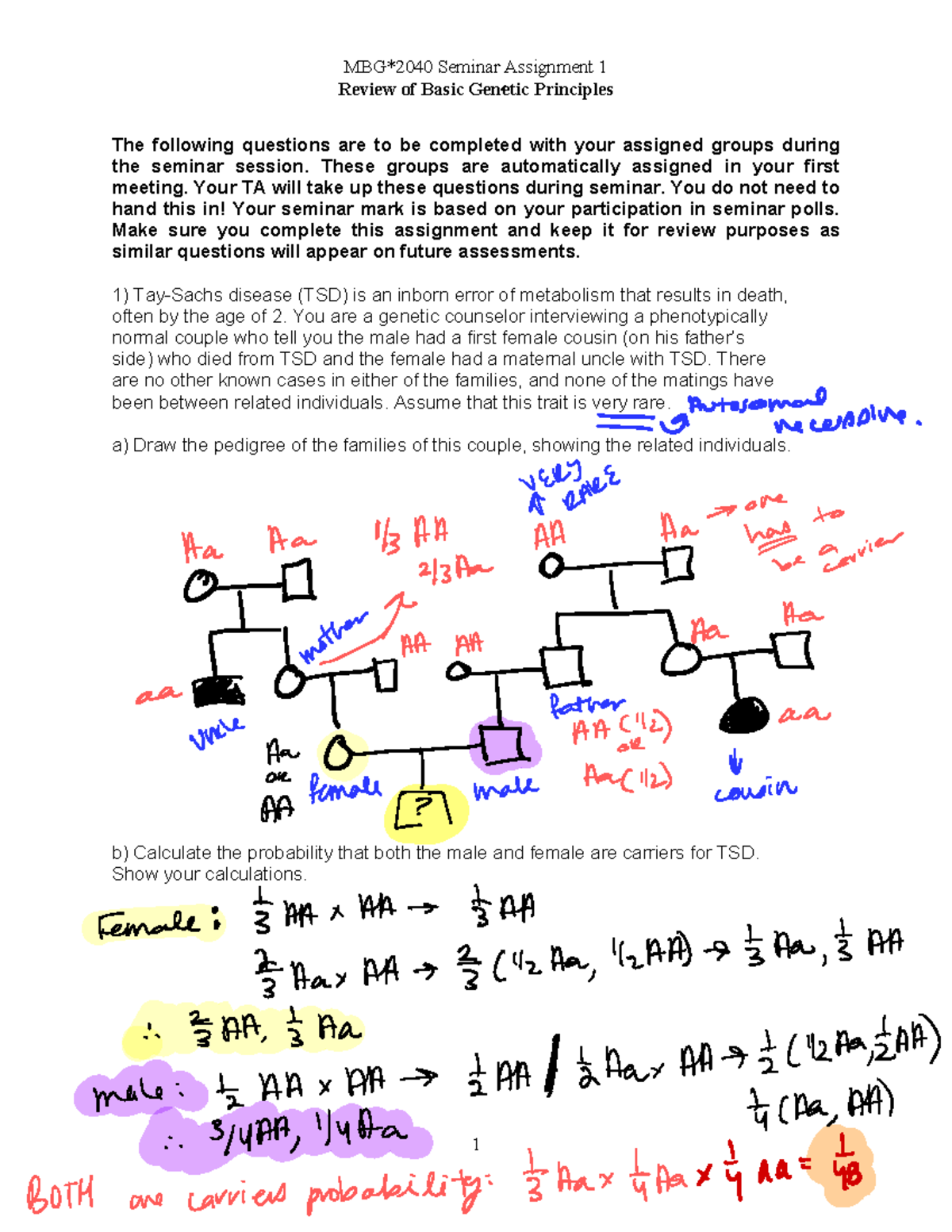 MBG*2040 Seminar Assignment 1: Review of Genetic Principles - Studocu