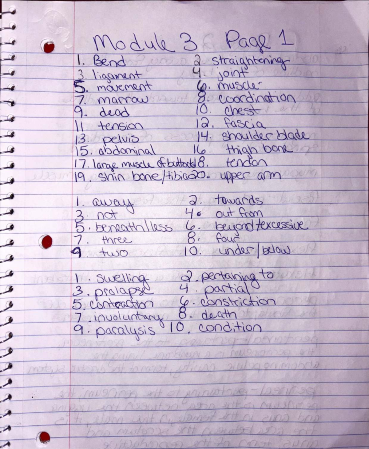 Bio 201 Module 3: Medical Terminology for Muscular System - Studocu