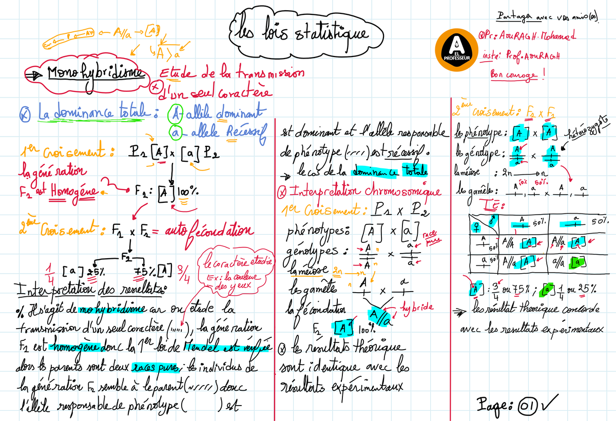 Résumé des Lois Statistiques - AP Biologie 4A Prof. ADURAGH - Studocu