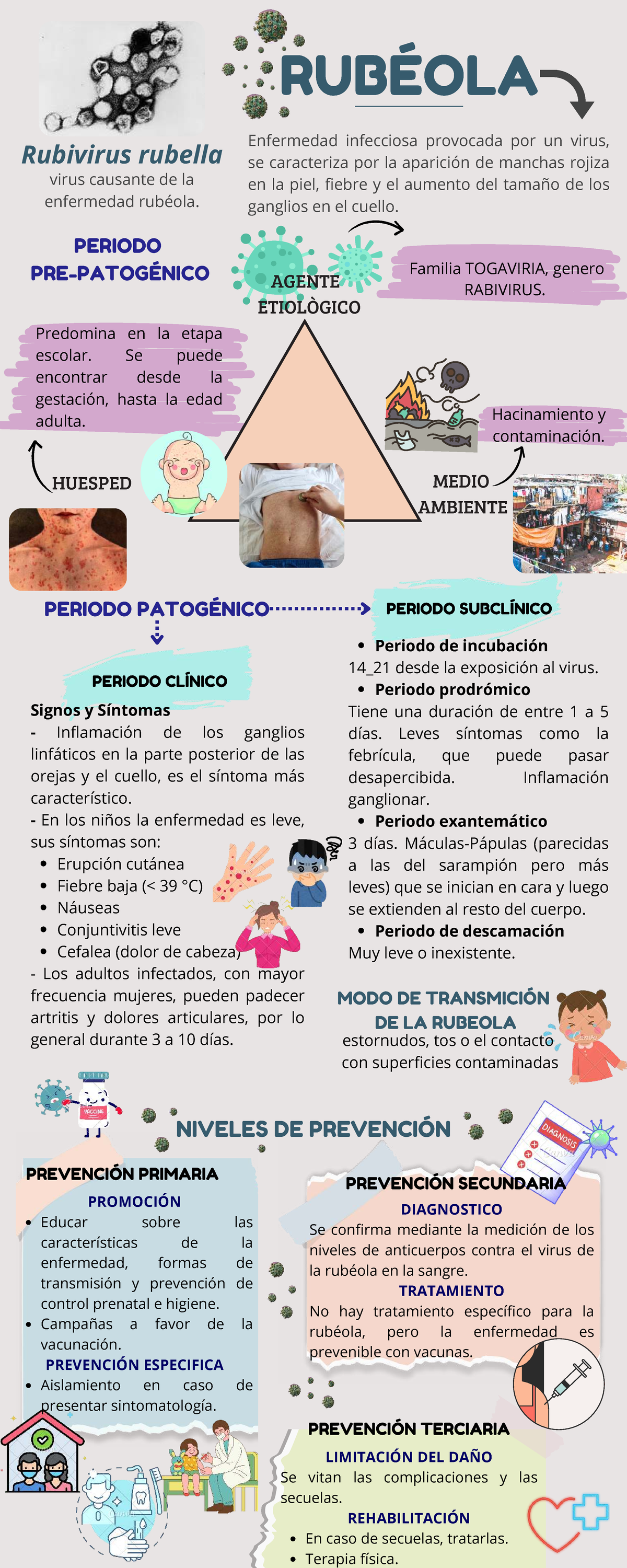 “HISTORIA NATURAL DE LA ENFERMEDAD-NIVELES DE PREVENCIÓN-INFOGRAFÍA ...