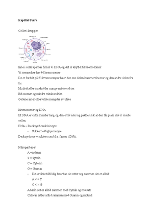 Kjemiske Bindinger: Elektronpar, Ioner og Dipolbindinger (S.39-51 ...
