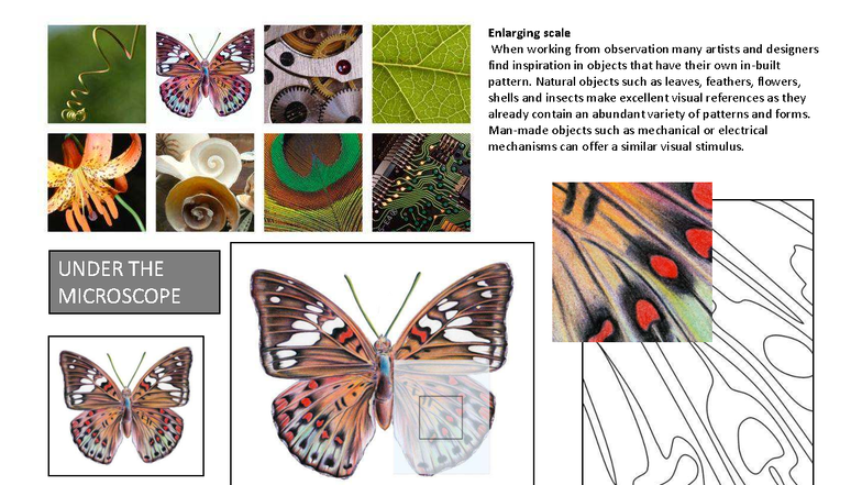 Y8 Art Lesson: Exploring Patterns Through Observation - Studocu