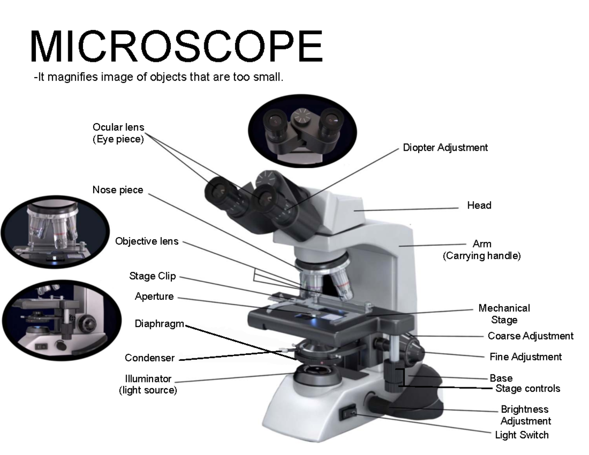Team Brightfield Activity 2B: Understanding Brightfield Microscope ...