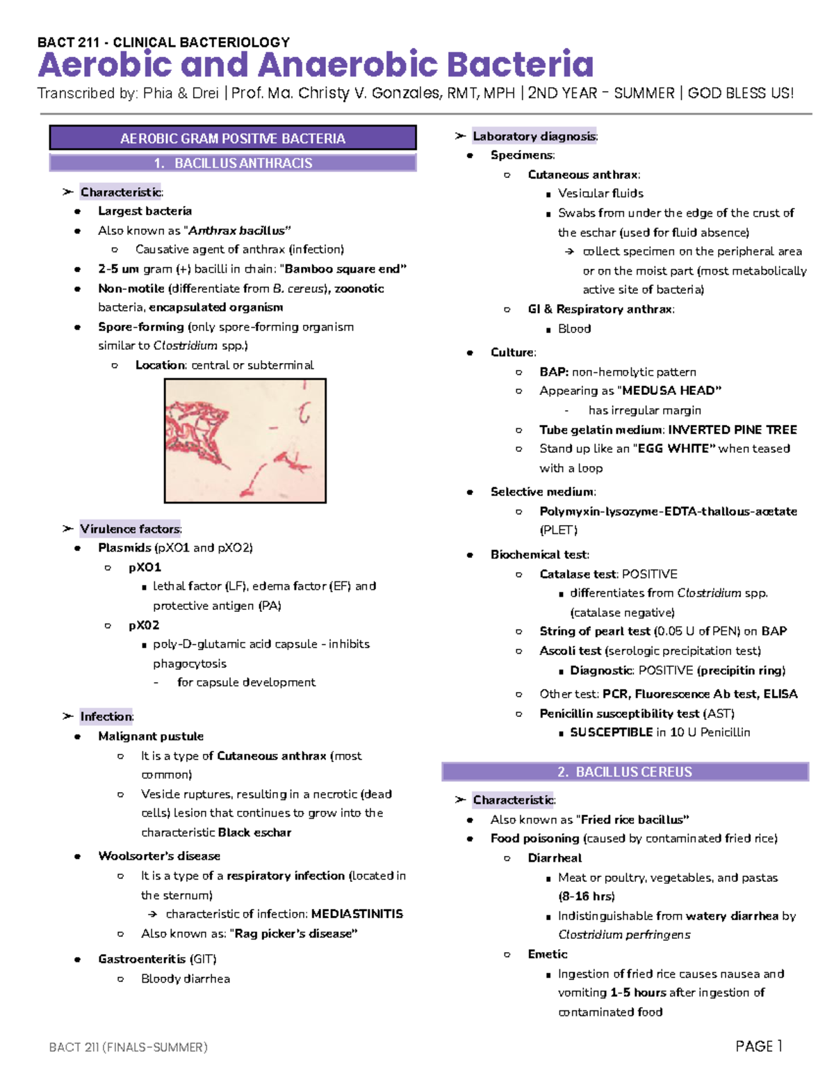 BACT 211 - Aerobic and Anaerobic Bacteria Overview - Studocu