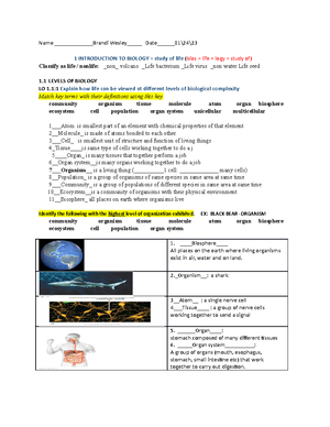 Exam 2 study guide! - Dr Hasek Chapter 6 An Introduction to Energy ...