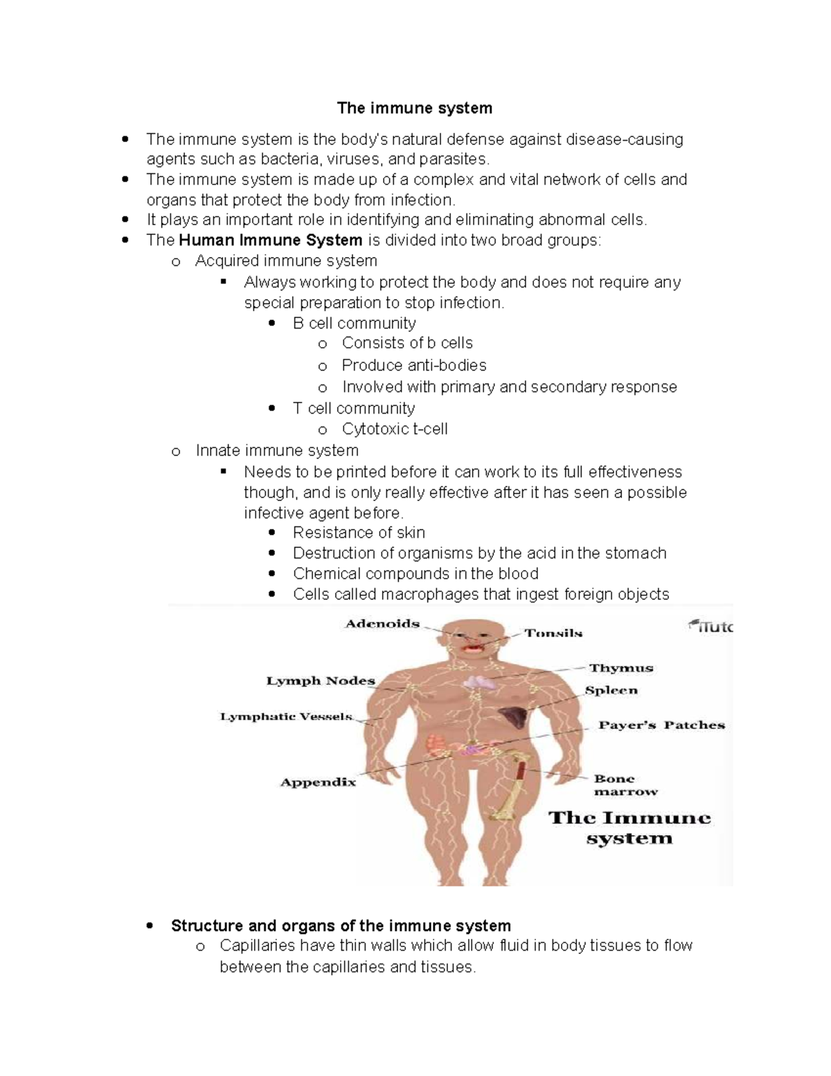 Immune System & Feedback Mechanisms Overview - Studocu