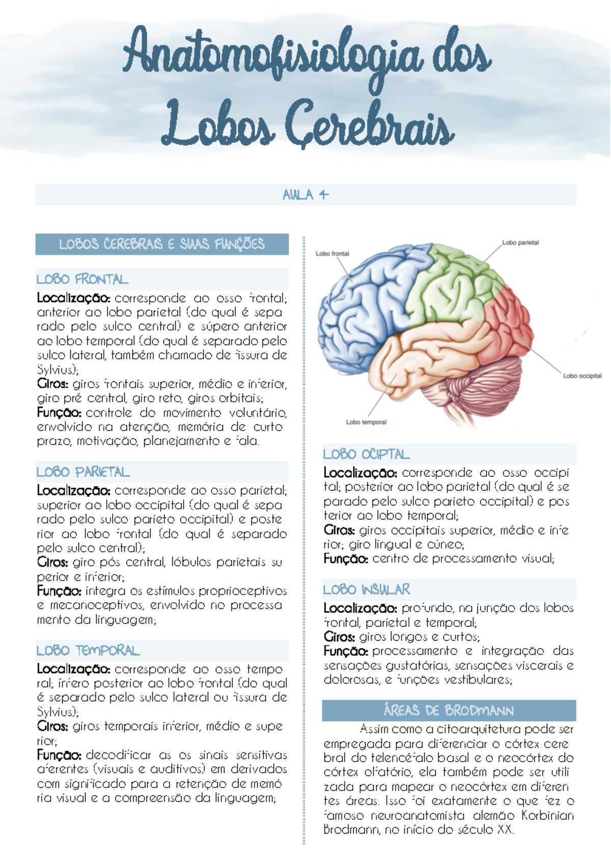 Anatofisiologia AULA 04 - Funções dos Lobos Cerebrais e Brodmann - Studocu