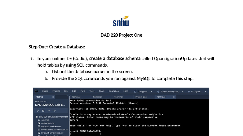 DAD 220 Project One: Database Creation and Data Management - Studocu