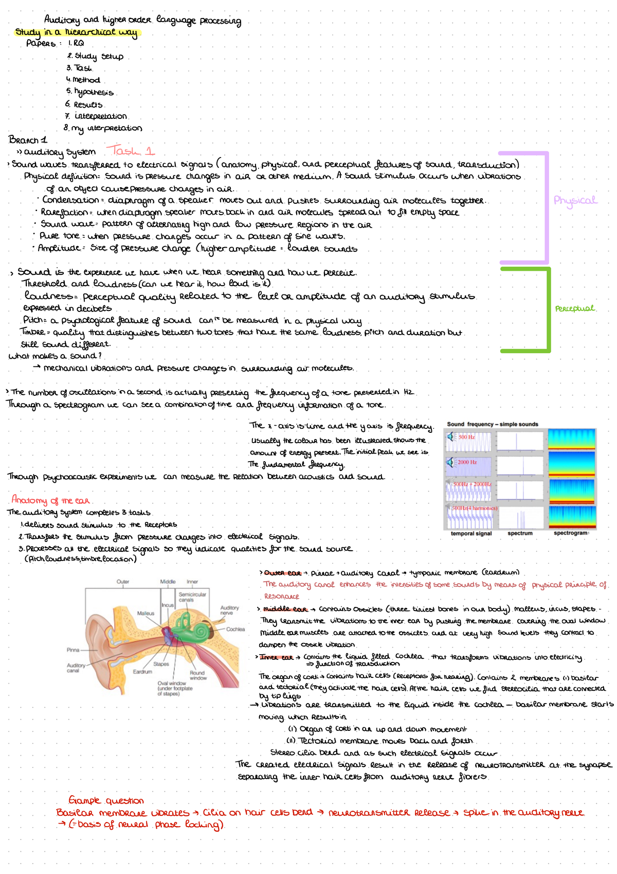 Auditory Processing Study Task 1: Analyzing Sound Perception and ...