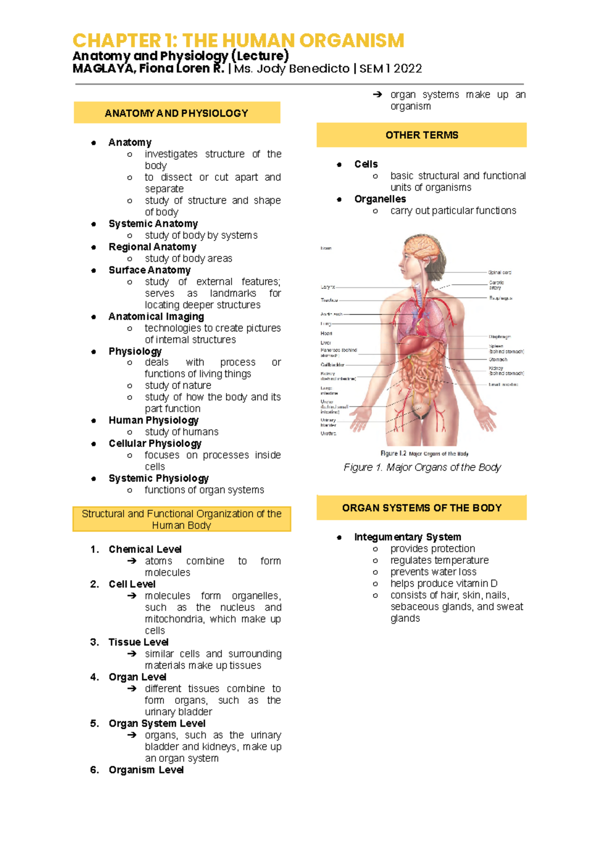 Anaphy-1 - Chapter 1: The Human Organism - CHAPTER 1: THE HUMAN ...