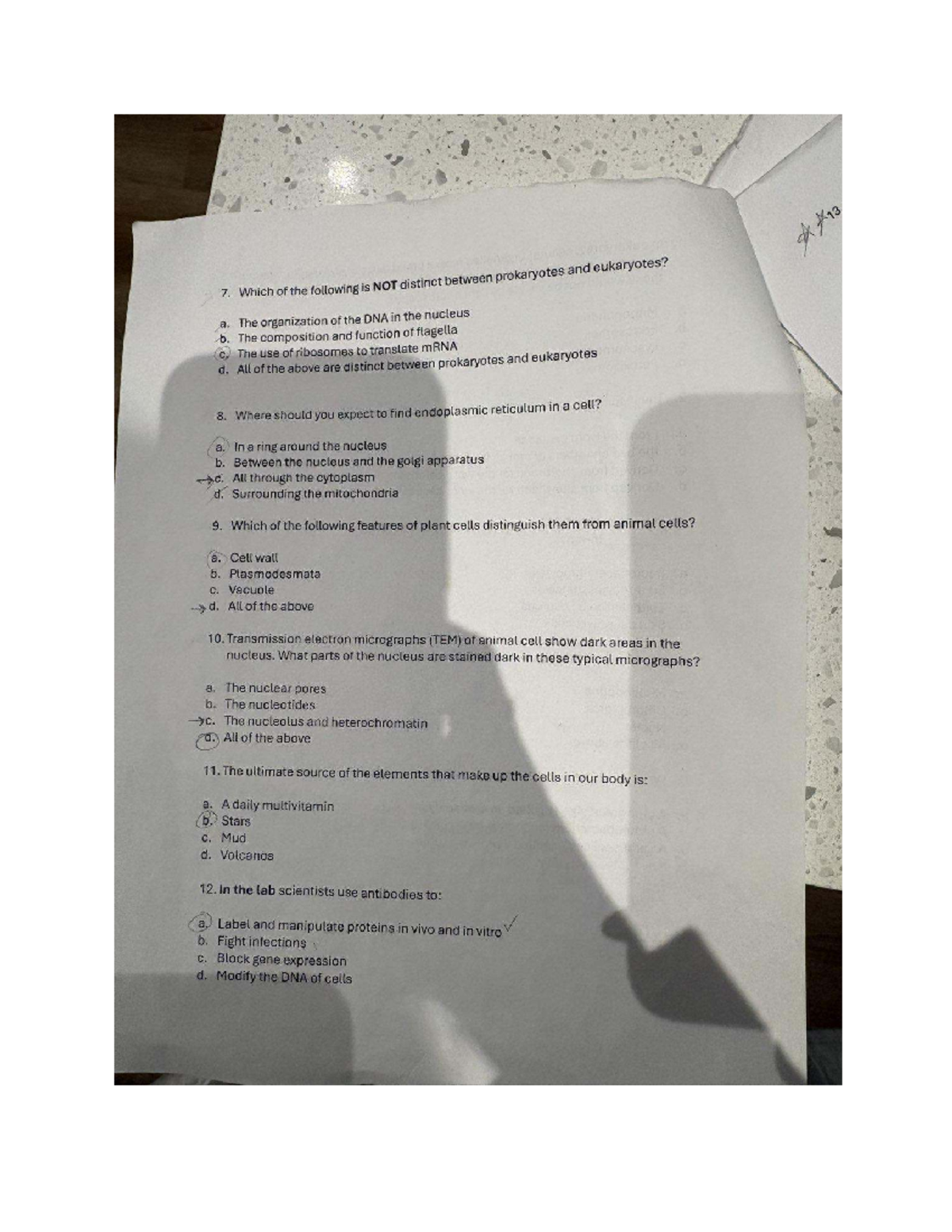 BIL 255 - Exam 1 Answers: Key Concepts in Cell Biology - Studocu