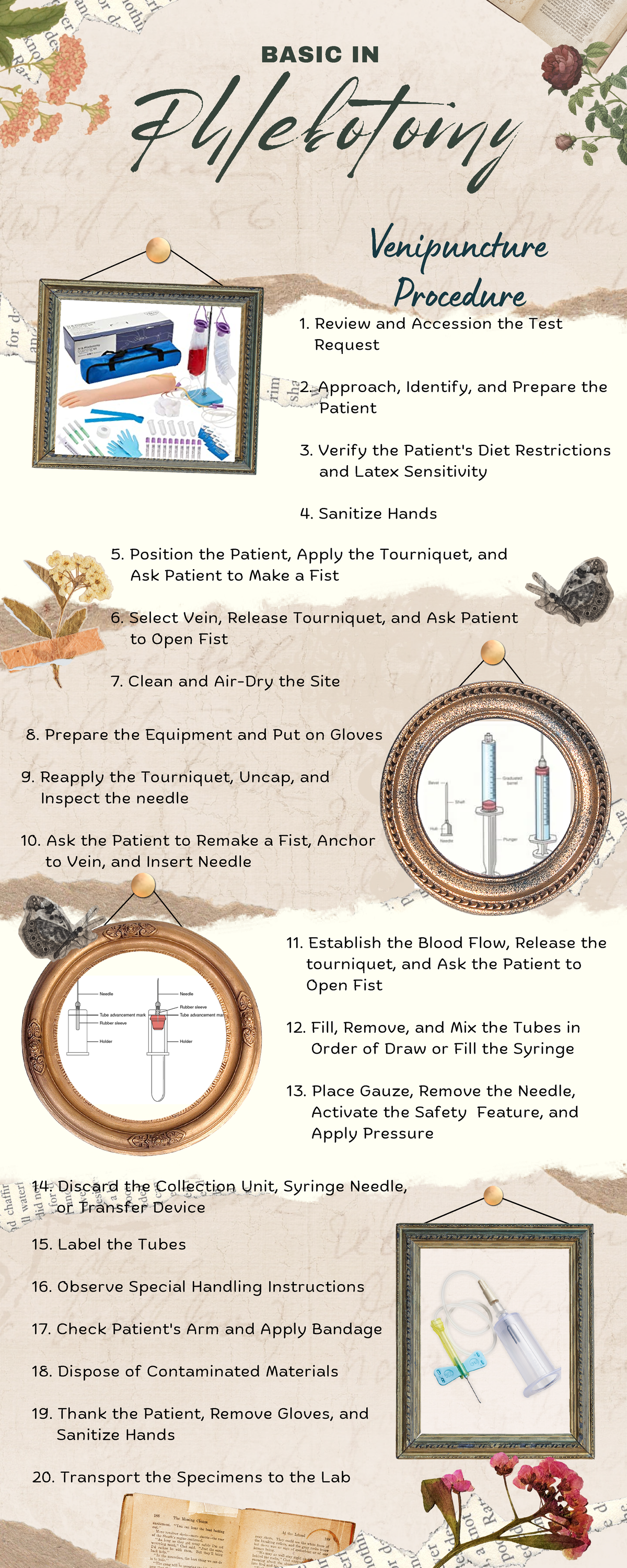 Phlebotomy Techniques: Venipuncture Procedure Infographic Guide - Studocu