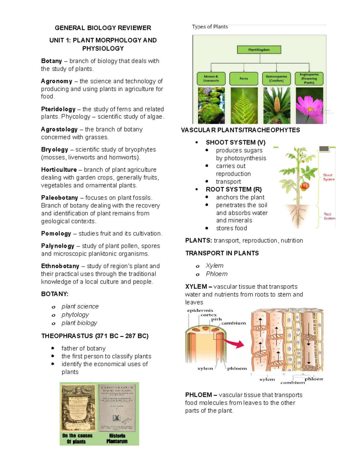 General Biology Reviewer: Plant Morphology & Physiology Study Guide ...