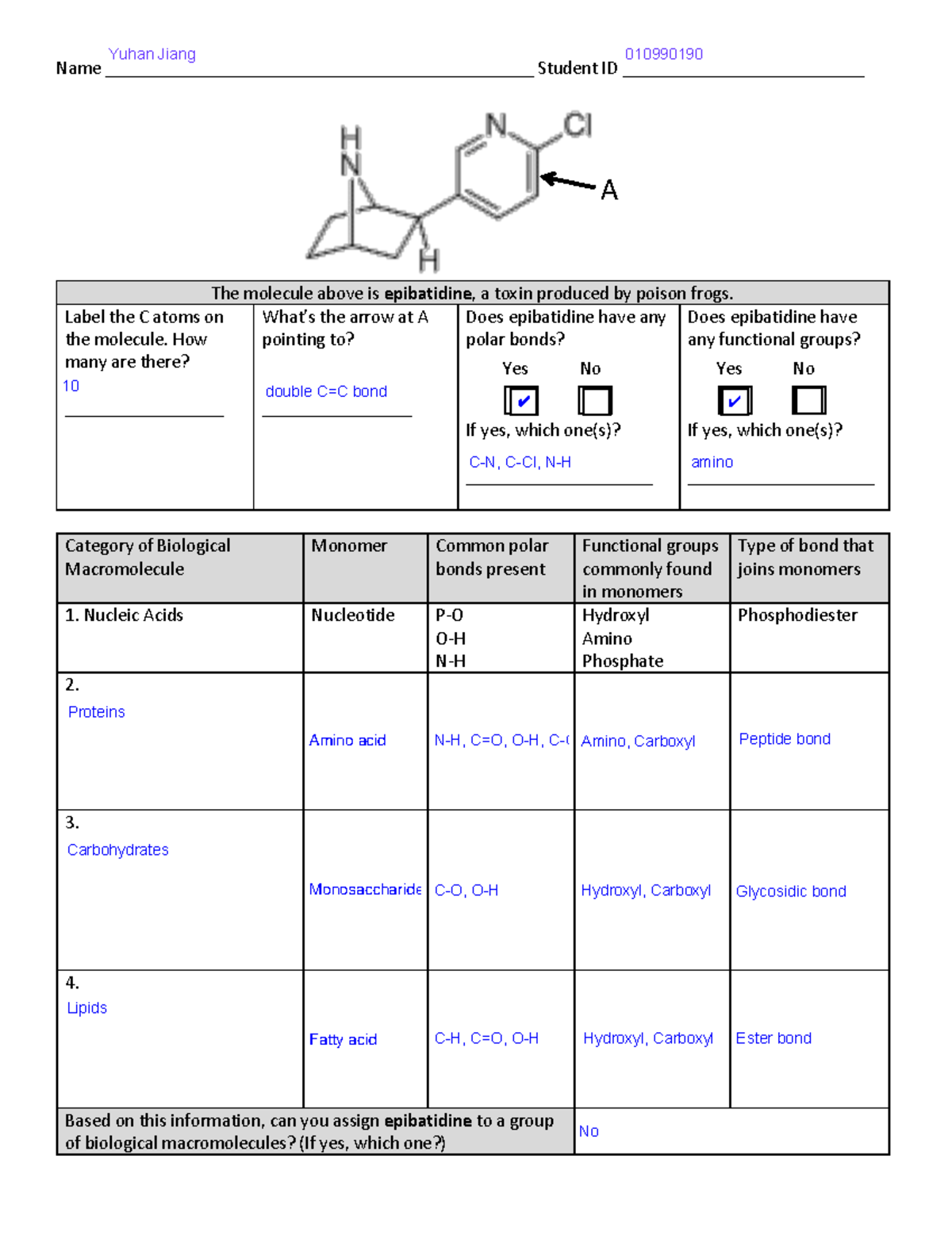 Biological Macromolecules: Epibatidine Analysis (BIO 101) - Studocu