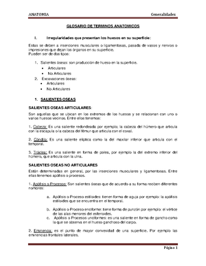 Anatomía región de la nuca y dorso - Región de la nuca También conocida ...