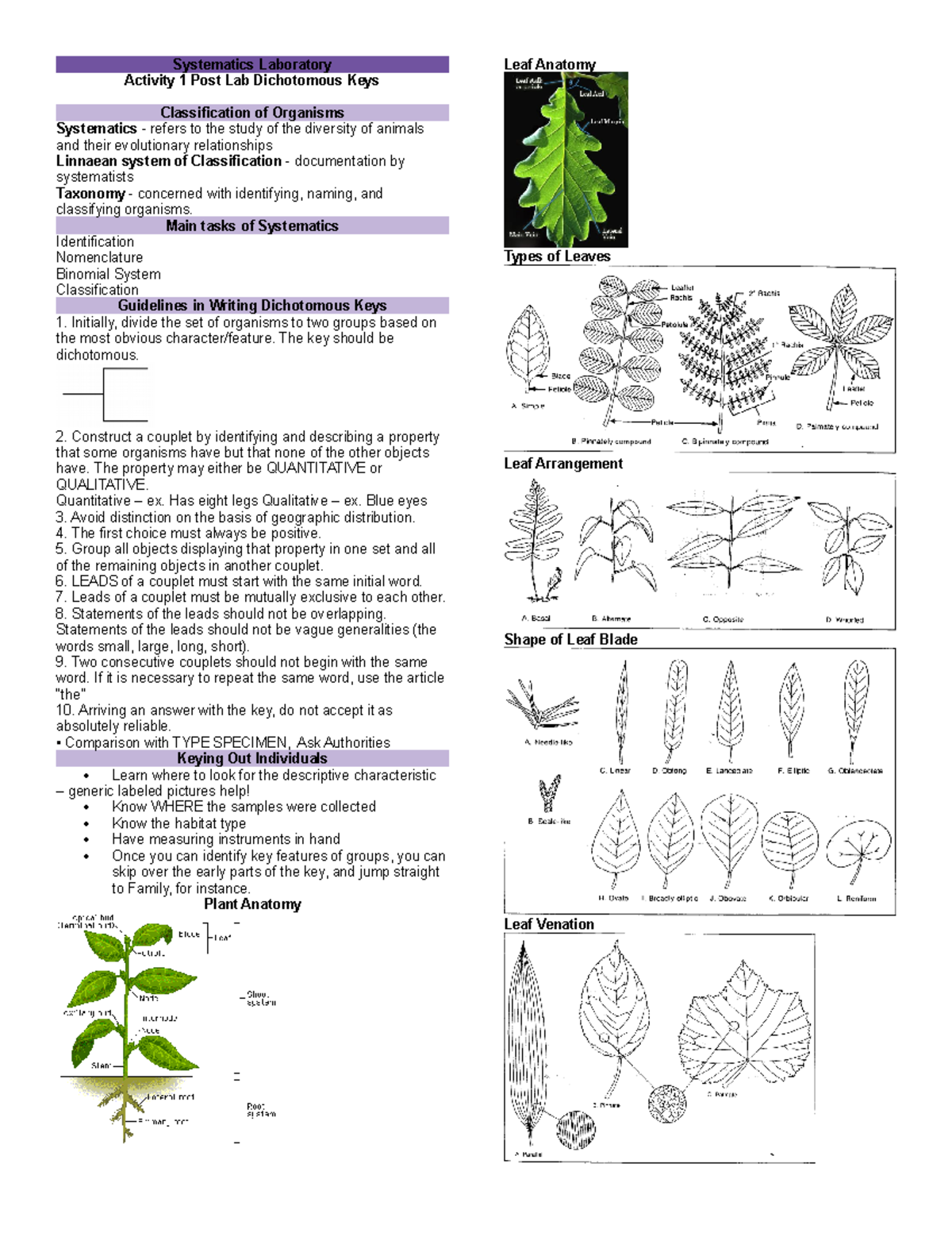 Systematics Lab Post Lab 1 & 2: Dichotomous Keys & Bacteria ...