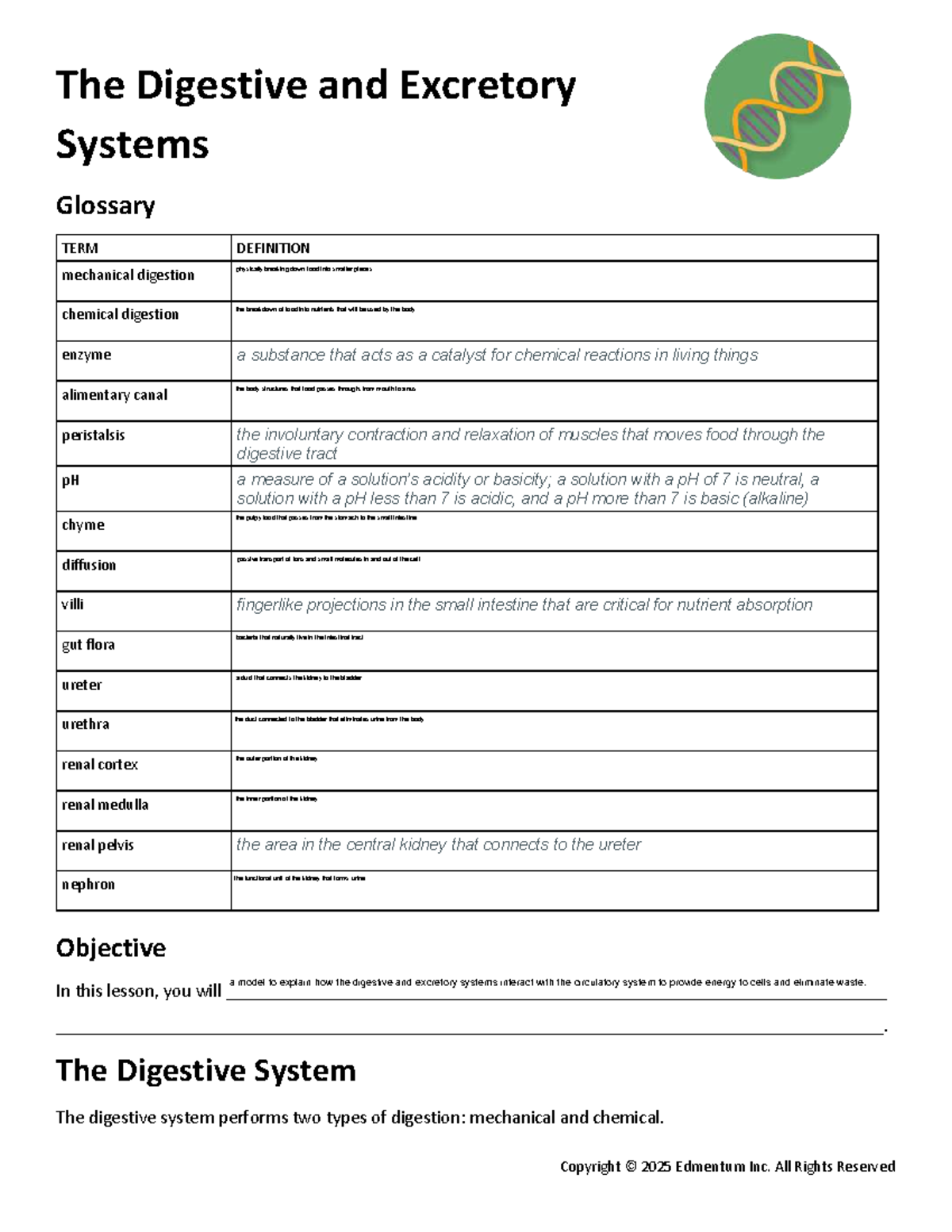 Digestive & Excretory Systems Glossary (BIO 101) - Studocu