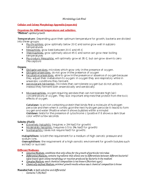 Micro Bio Classwork - Describing different types of Bacteria - MCB 2000 ...