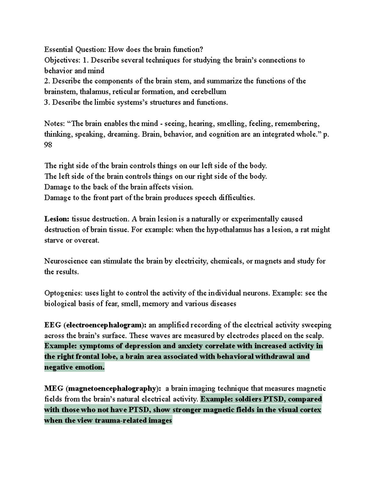 AP Psycology - Brain - Essential Question: How does the brain function ...