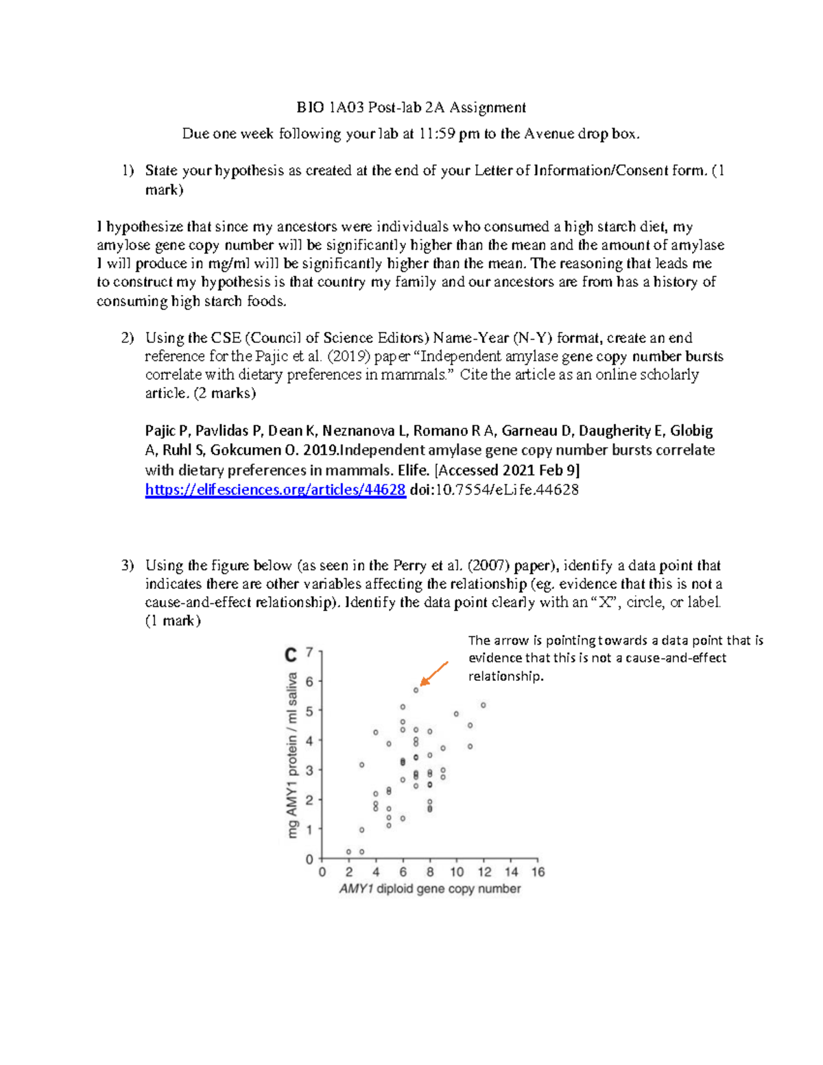 BIO 1A03 Post-lab assignment 2A - BIO 1A03 Post-lab 2A Assignment Due ...