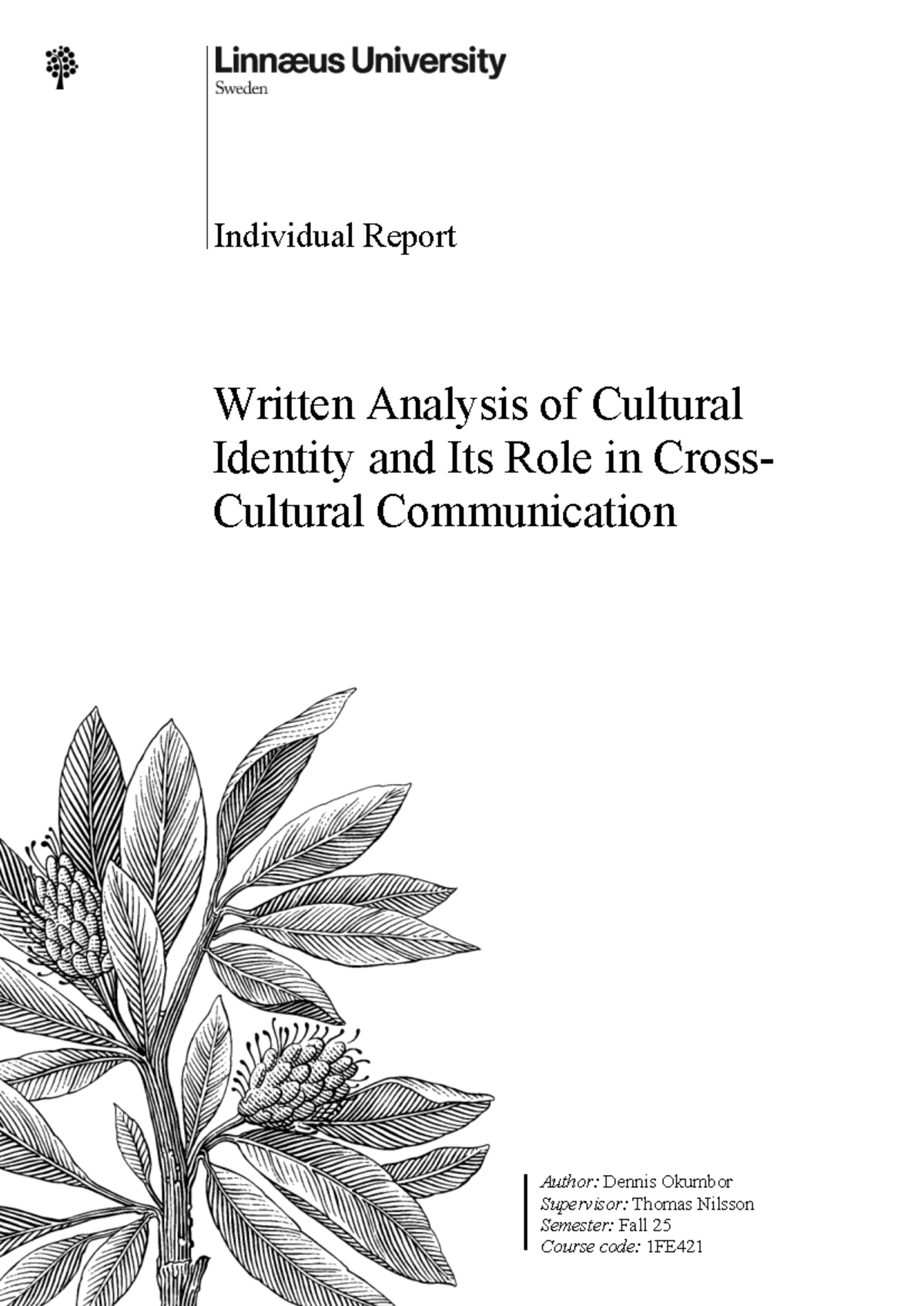 1FE421 Individual Report: Analysis of Cultural Identity in Cross ...