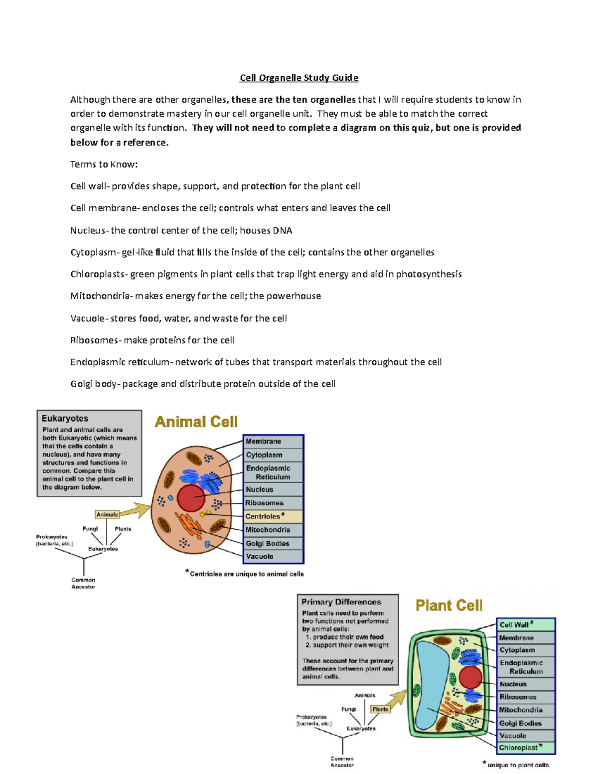 Cell Organelle Quiz Study Guide: Key Terms & Functions - Studocu