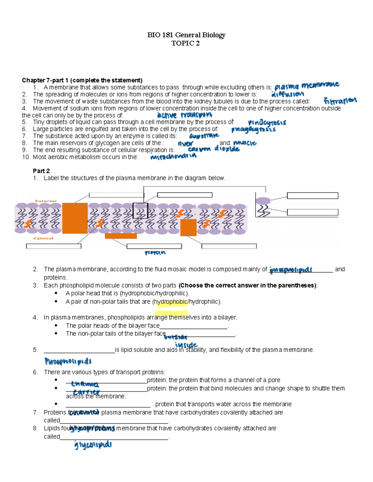 Week 4 HW Chapter 7 - BIO 181 General Biology TOPIC 2 Chapter 7-part 1 ...