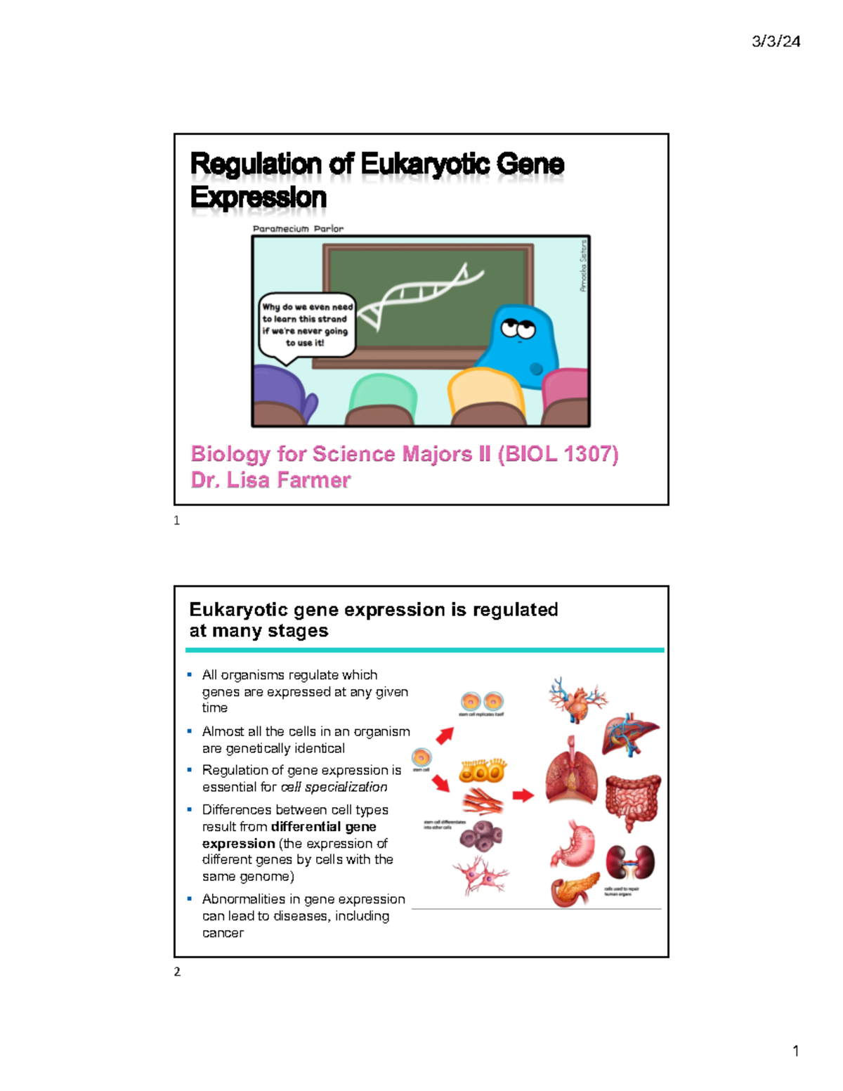Lecture 12: Gene Regulation in Eukaryotes - BIOL 1307 SP24 - Biology ...