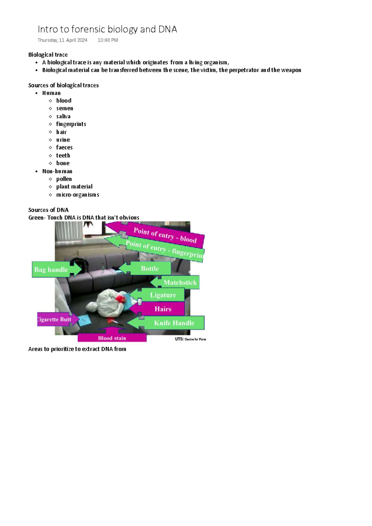 Forensic Biology & DNA Overview: Key Concepts & Applications - Studocu