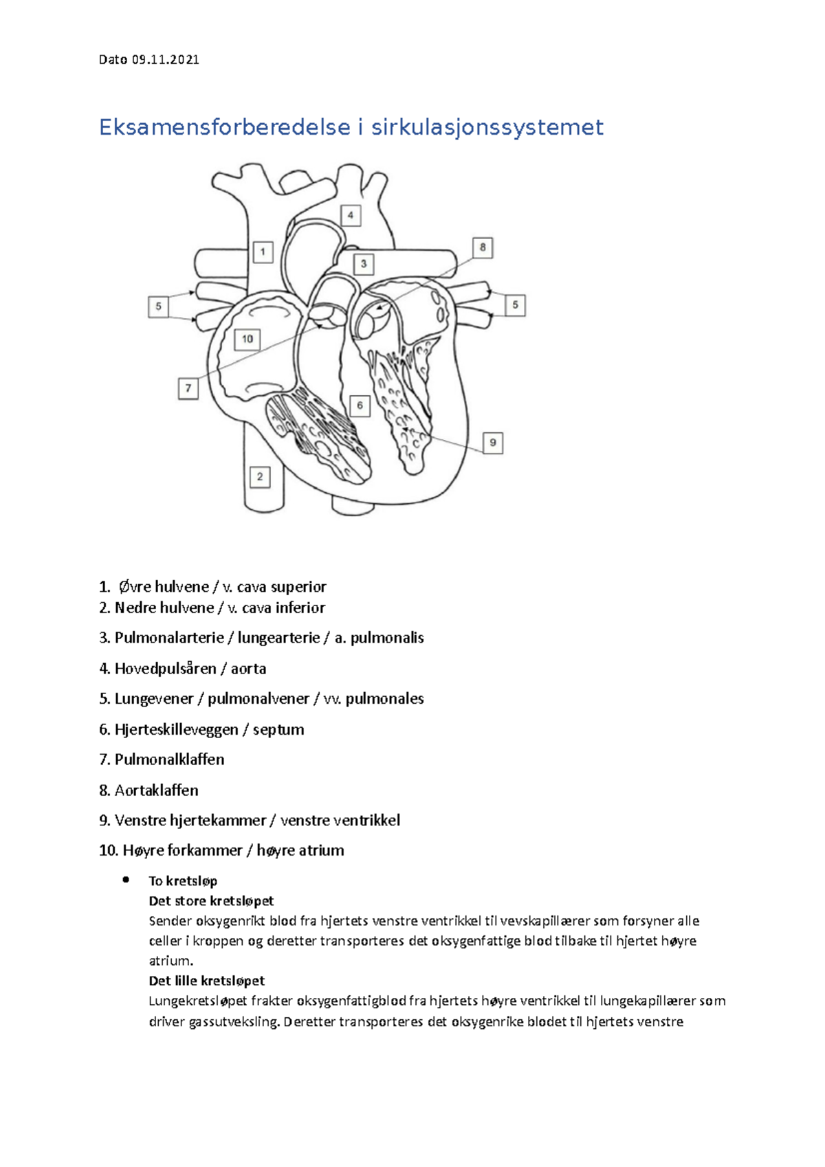 Eksamensforberedelse i Sirkulasjonssystemet - Fullstendig Guide - Studocu