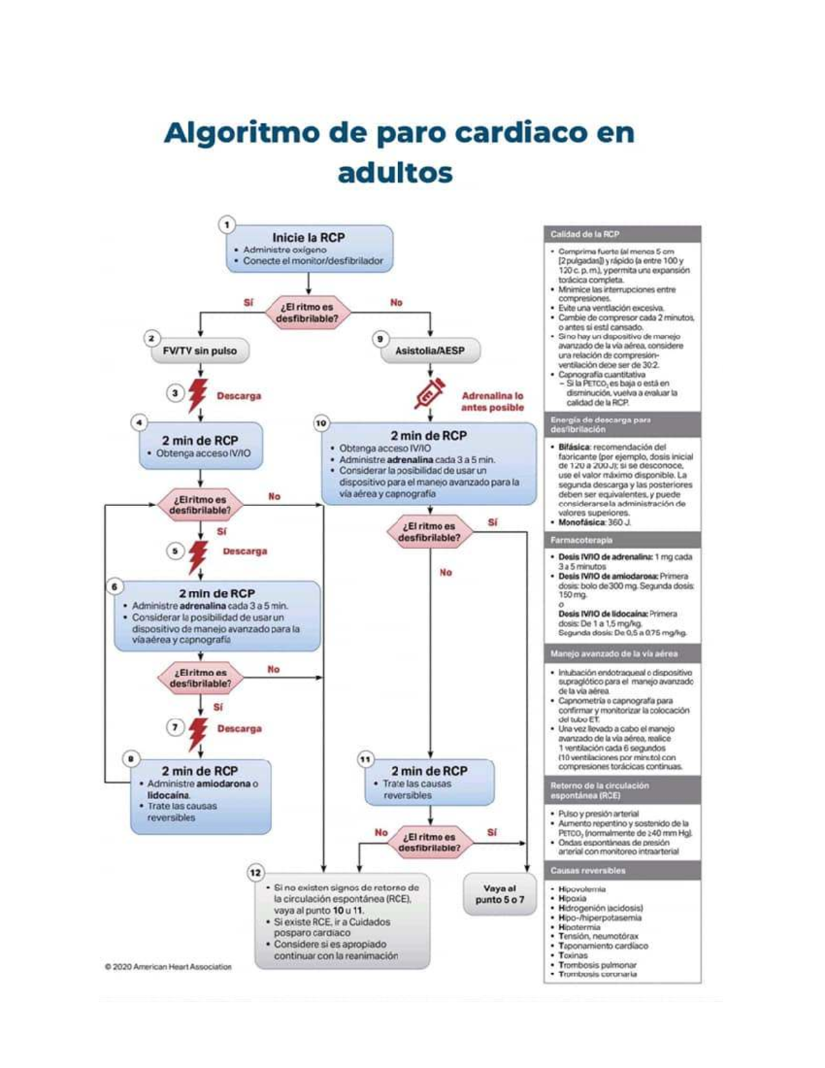 Algoritmo de Paro Cardíaco en Adultos - RCP y Manejo Avanzado - Studocu