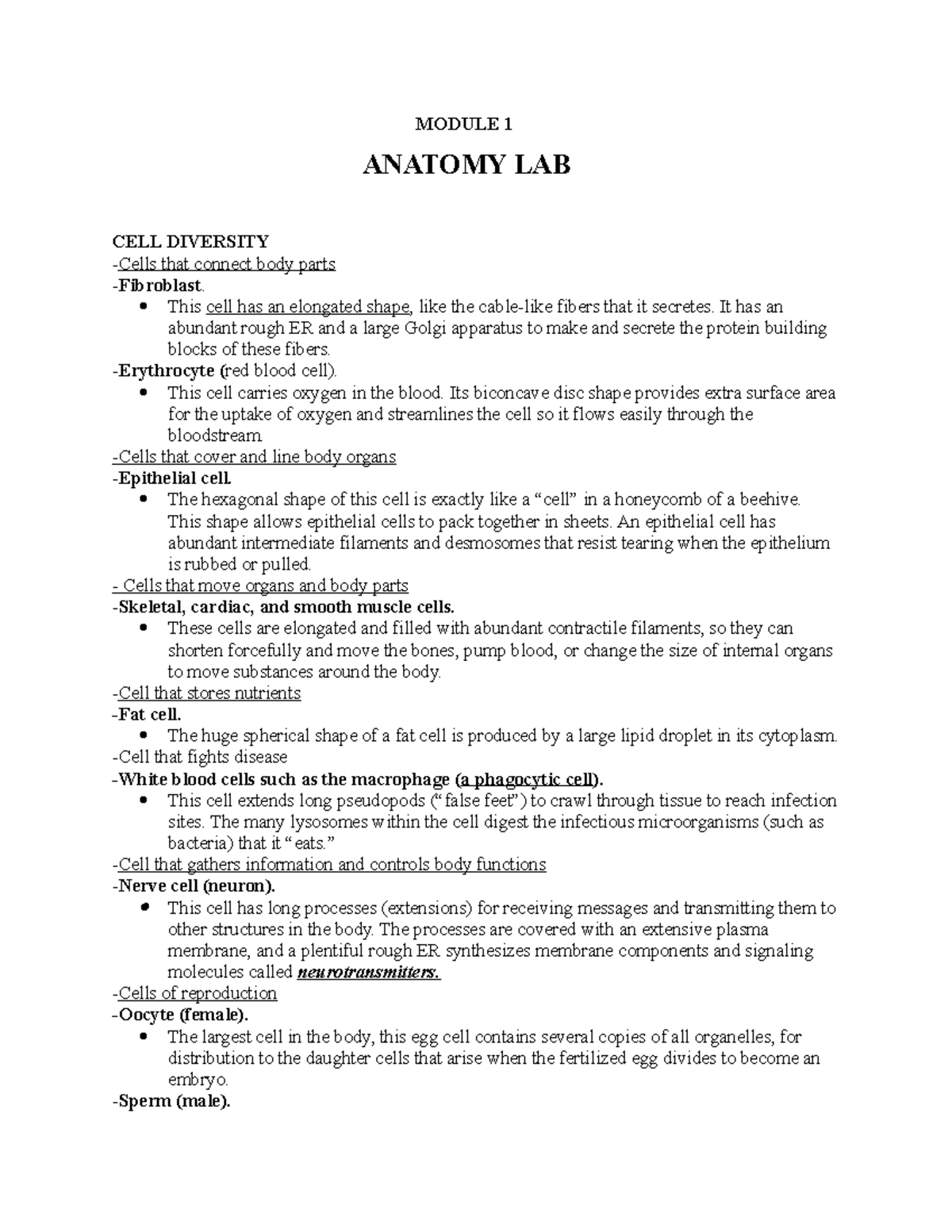 Module 1 Anatomy Lab - CELL Diversity - MODULE 1 ANATOMY LAB CELL ...