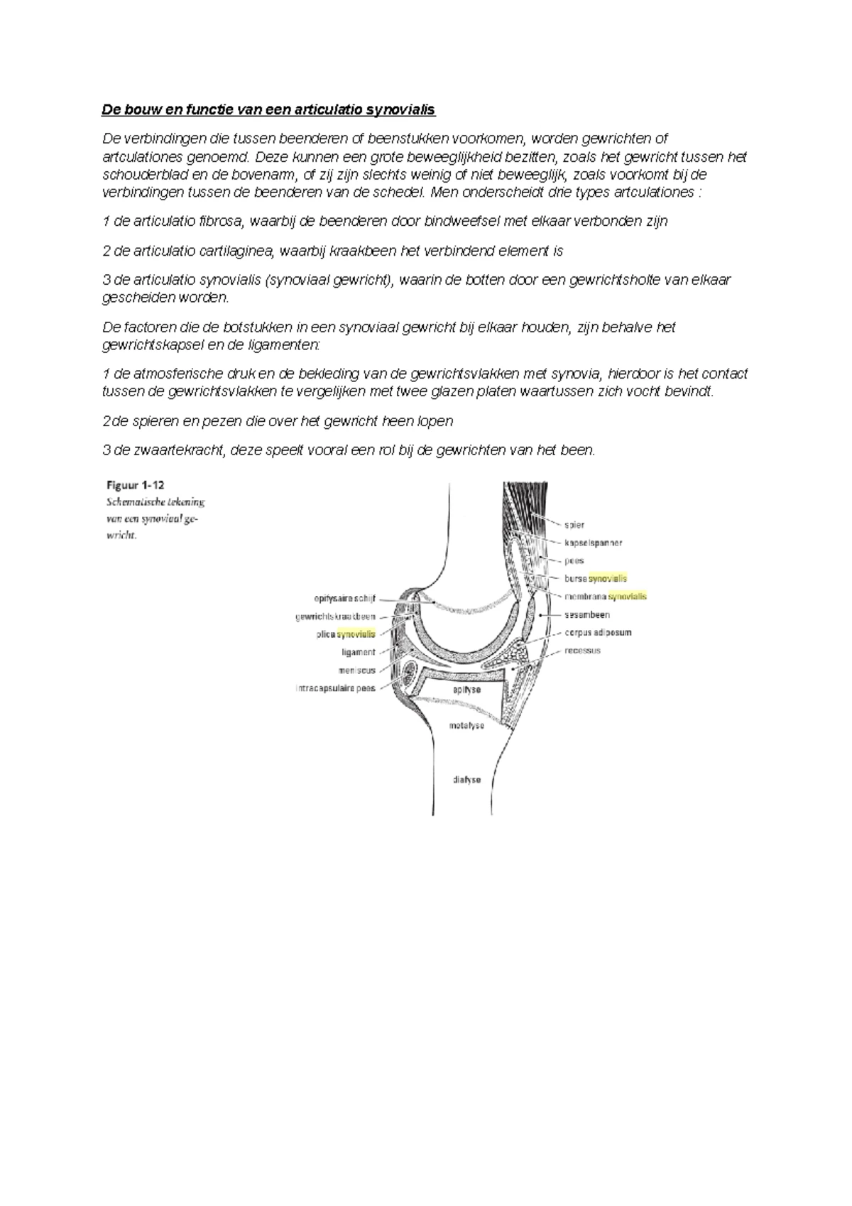 Anatomie rug - (wervelkolom) - Bewegingsmogelijkheden Beweging Uitslag ...
