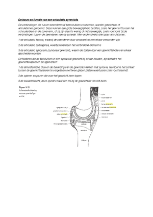[Solved] betekenis en verschillen tussen anteversie en retroversie ...