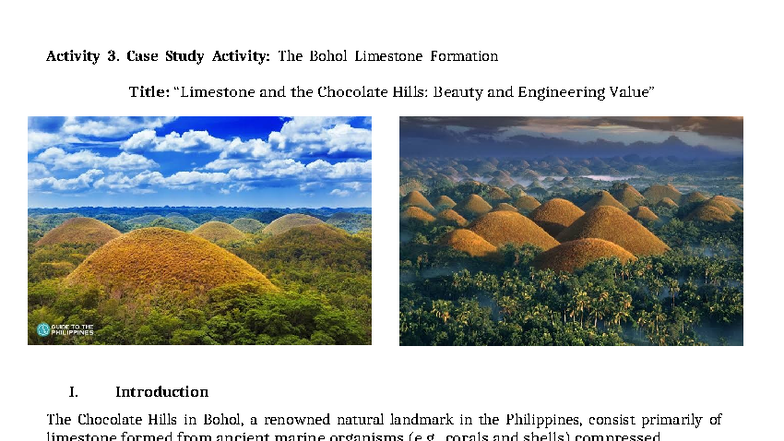 Activity- Geology- Midterm - Activity 3. Case Study Activity: The Bohol ...