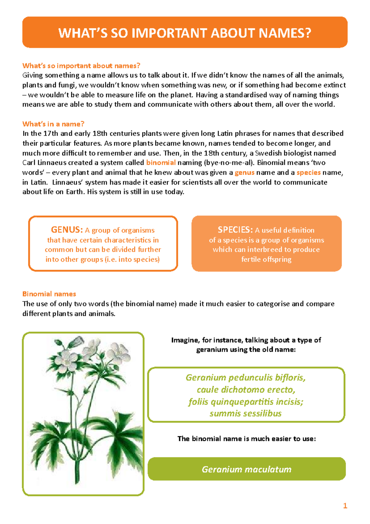 Nomenclature Worksheet: Understanding the Importance of Names - Studocu
