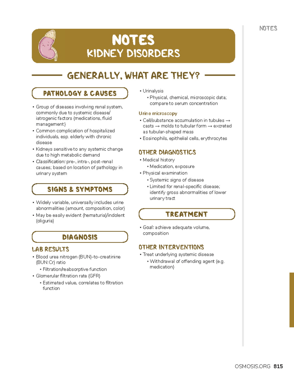 Kidney Disorders - Pathology, Causes, Diagnosis, and Treatment Notes ...