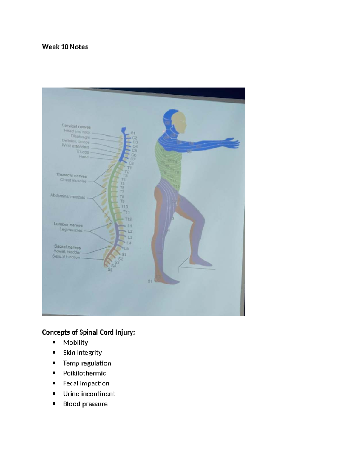 Week 10 Notes: Spinal Cord Injury Concepts & Management - Studocu