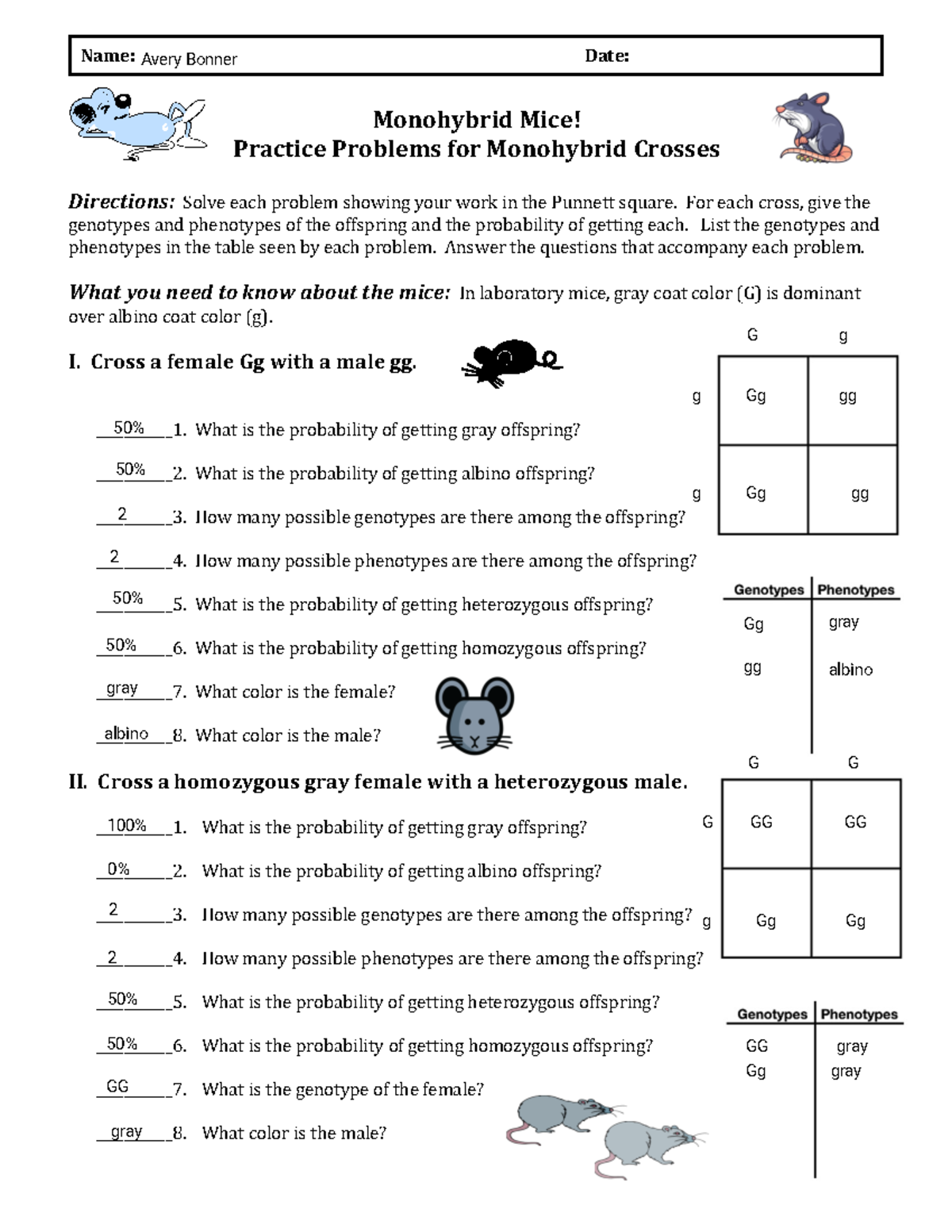 Monohybrid Cross Practice Problems for Bio 101 - Mice Genetics - Studocu
