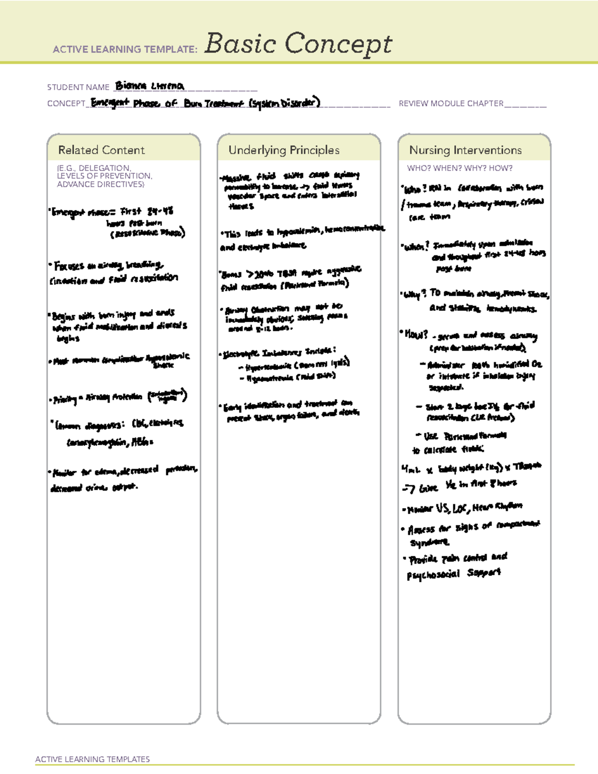 ACTIVE LEARNING TEMPLATE: Basic Concepts in Burn Treatment - Studocu