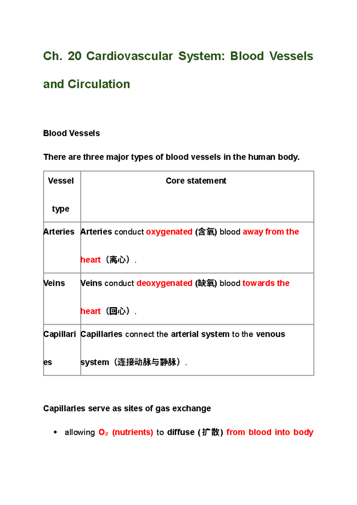 Ch. 20 Cardiovascular System: Blood Vessels & Circulation Overview ...