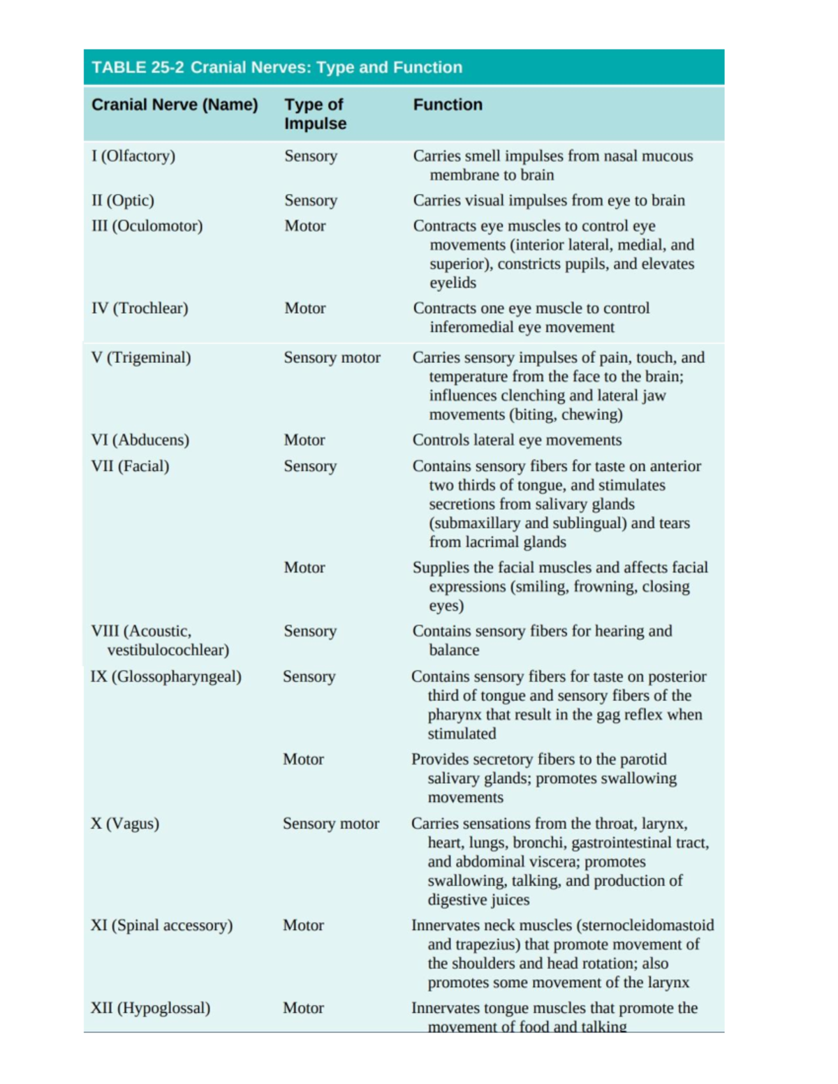Cranial Nerves Function And Types