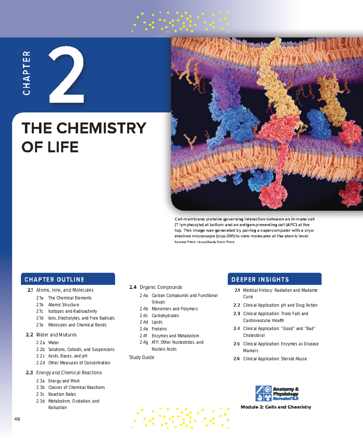 CHAPTER 2: THE CHEMISTRY OF LIFE - Key Concepts and Insights - Studocu